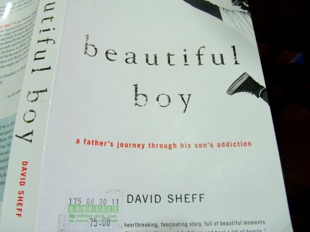 Pinay Prose and Stills: Beautiful Boy by David Sheff: Raw ...