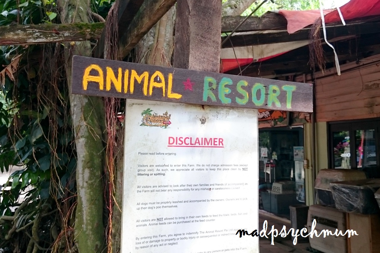 MadPsychMum | Singapore Parenting + Travel Blog: Animal Farm in Singapore