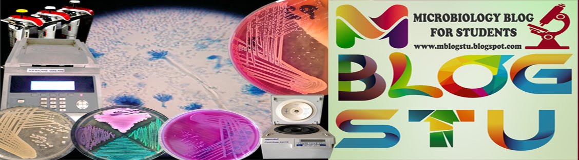 MICROBIOLOGY BLOG FOR STUDENTS: Leishmania donovani bodies (LD bodies)