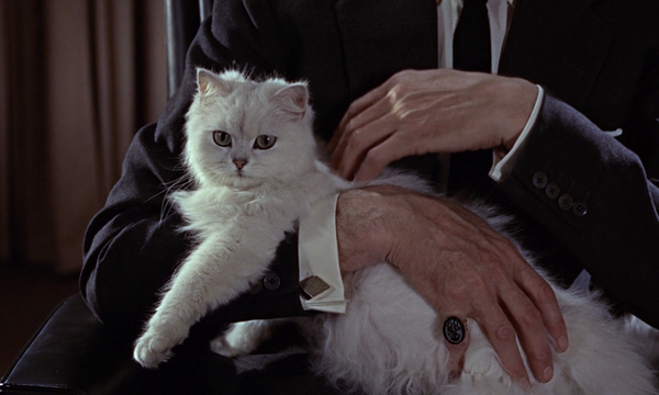 Most Famous Cats: Most Famous TV and Movie Cats
