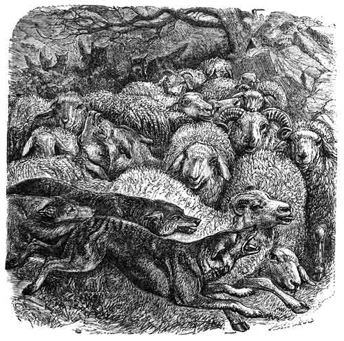 RETABLO DE LA VIDA ANTIGUA. : LOBEROS