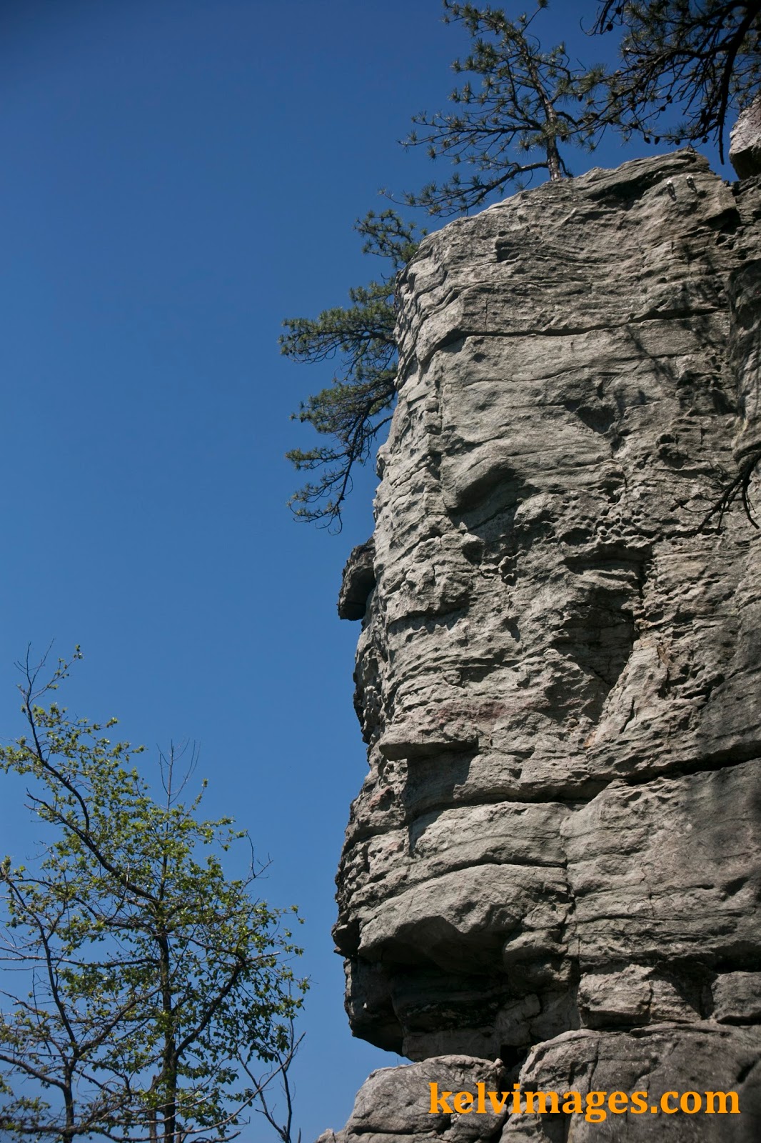 Lynn White, Focus Sessions: Pilot Mountain