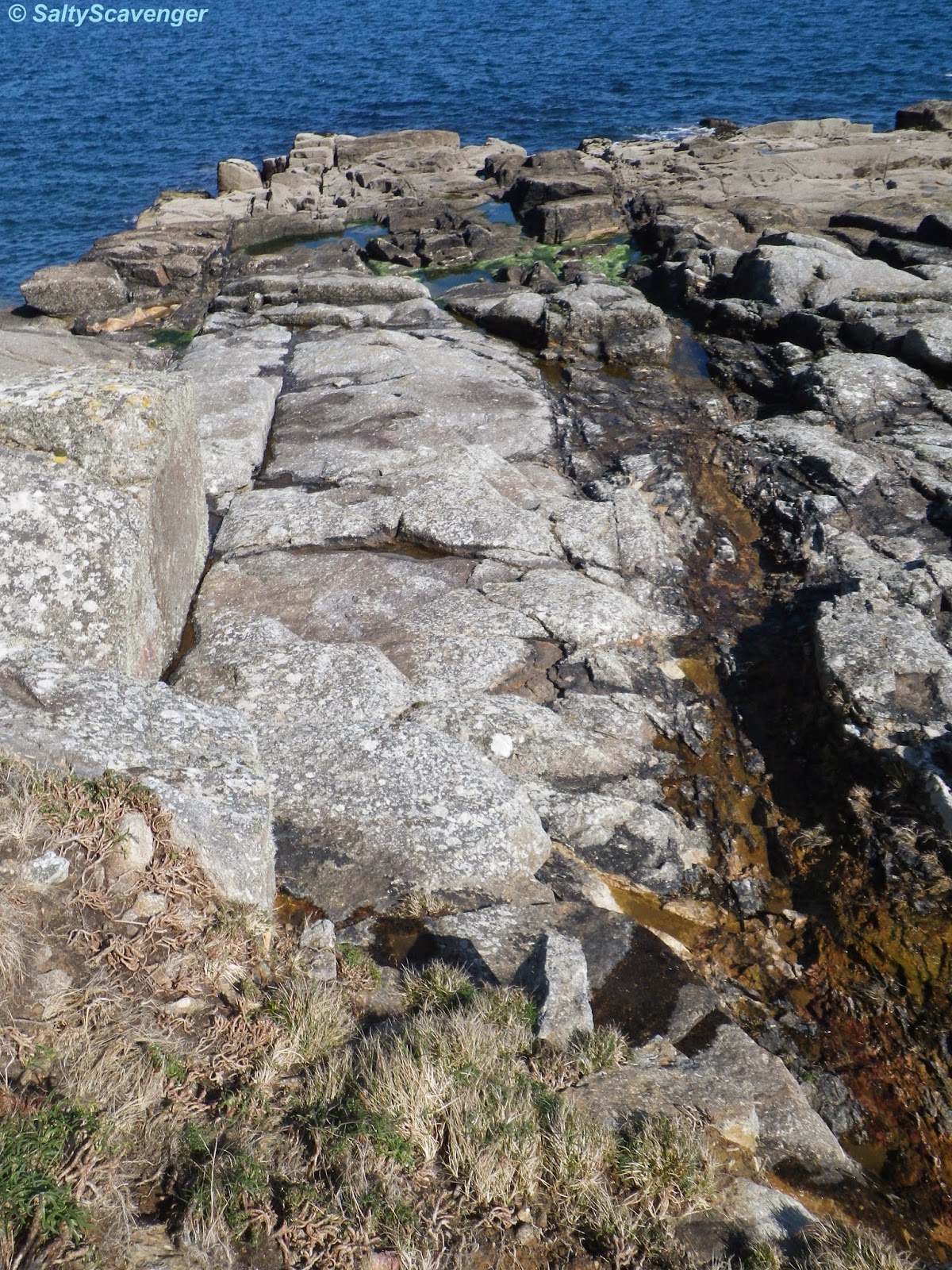 Rock Pooling: Rockpooling destination: Mousehole area, April 2014