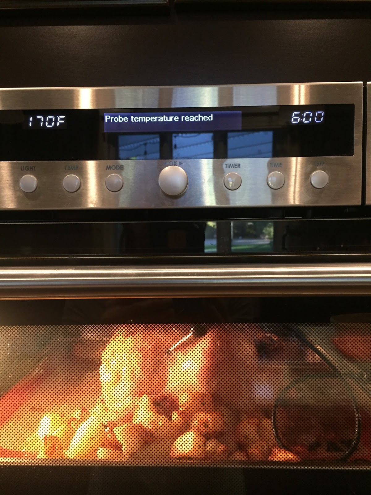 Steam oven cooking: 2017