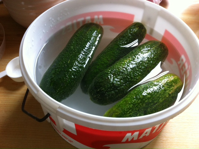 Torpliv: Picklad gurka