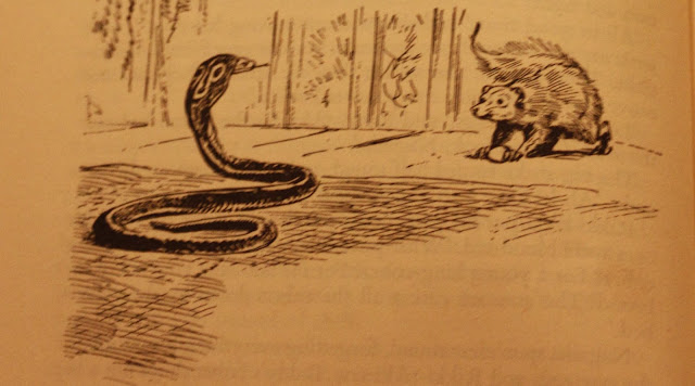 Mystery Playground: Rikki-tiki-tavi