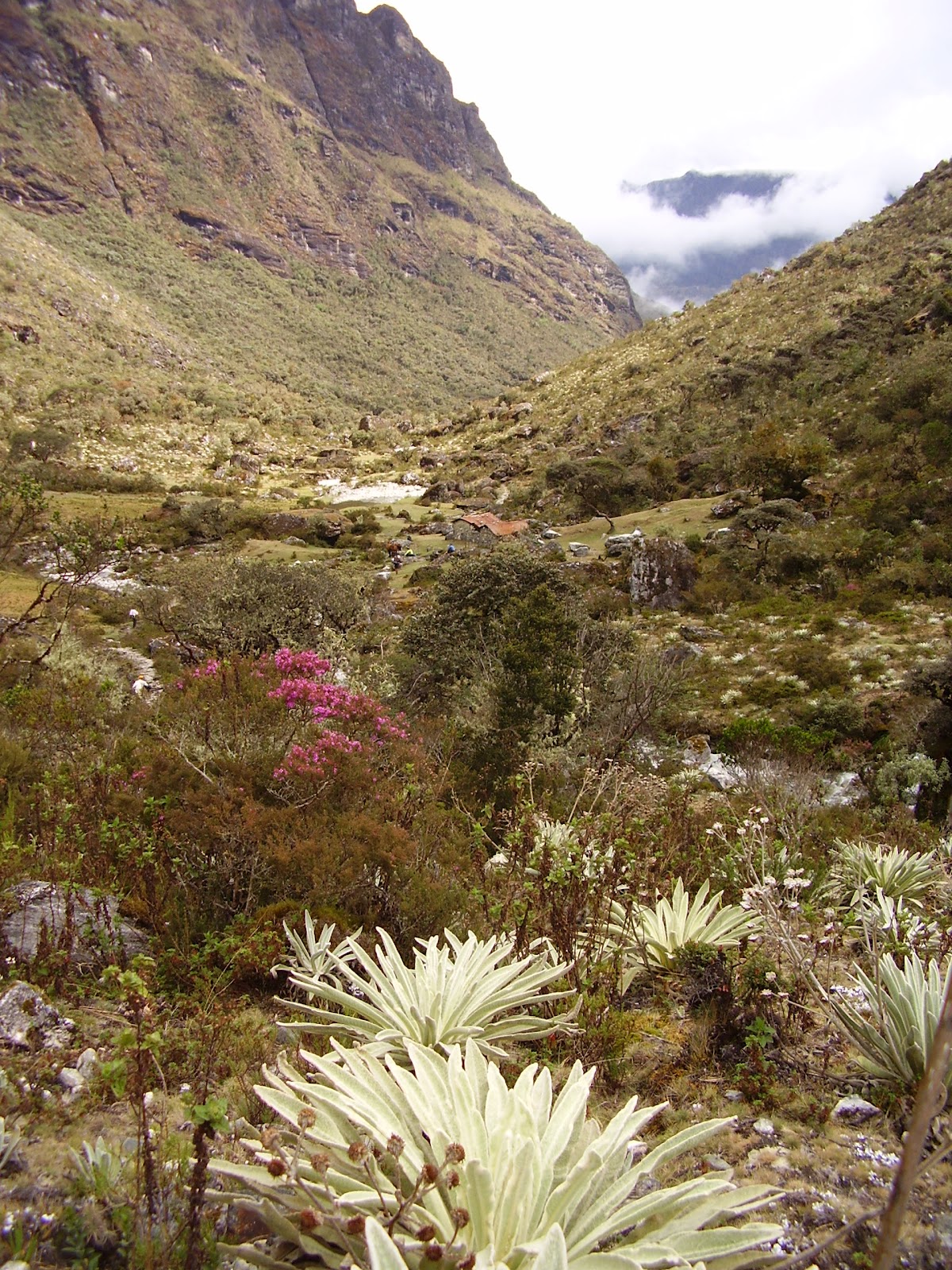 Alfredo Autiero: Valles escondidos de los Andes Venezolanos