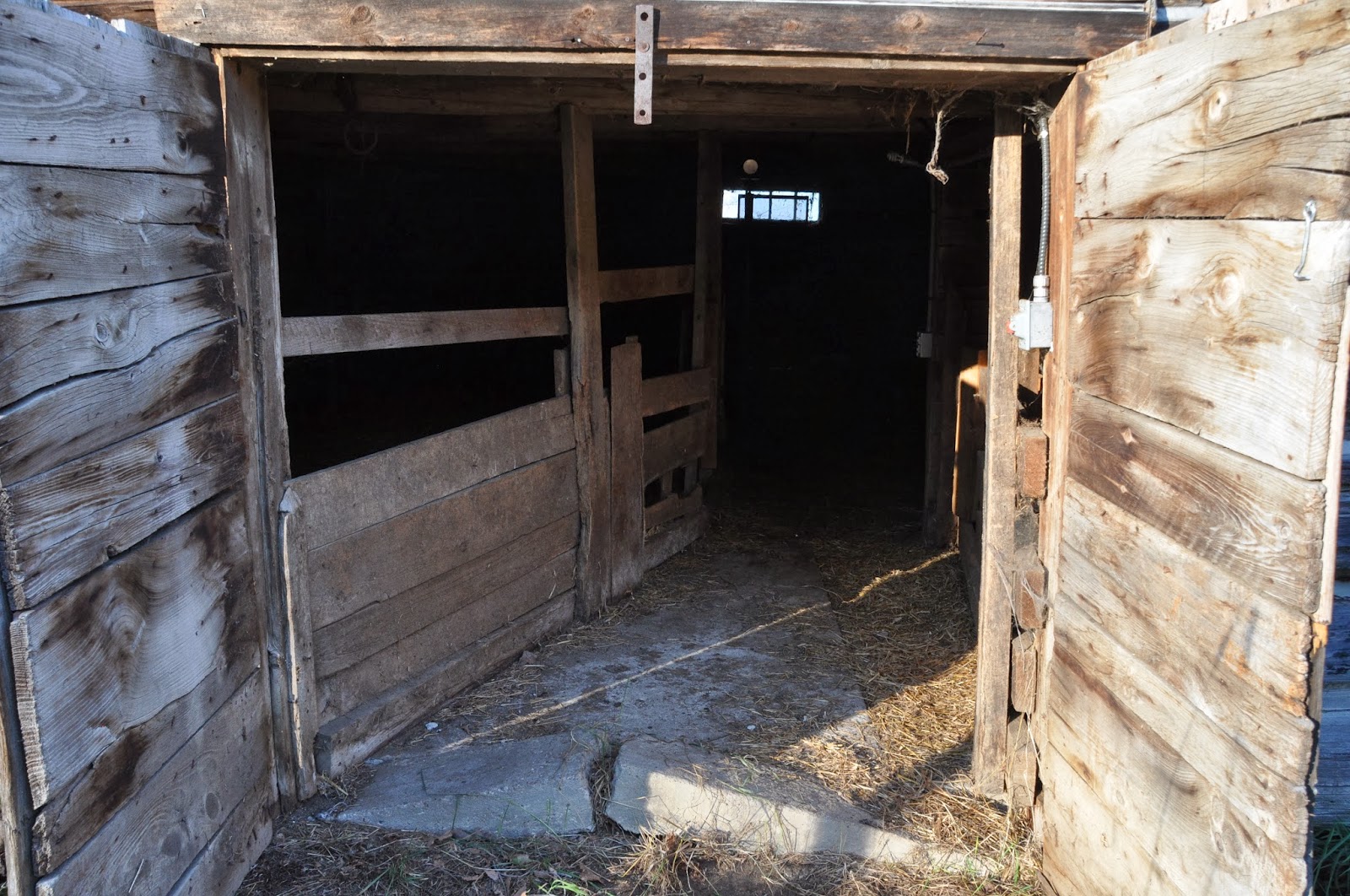 The Knitty Gritty Homestead: Empty Barn Seeks Pony