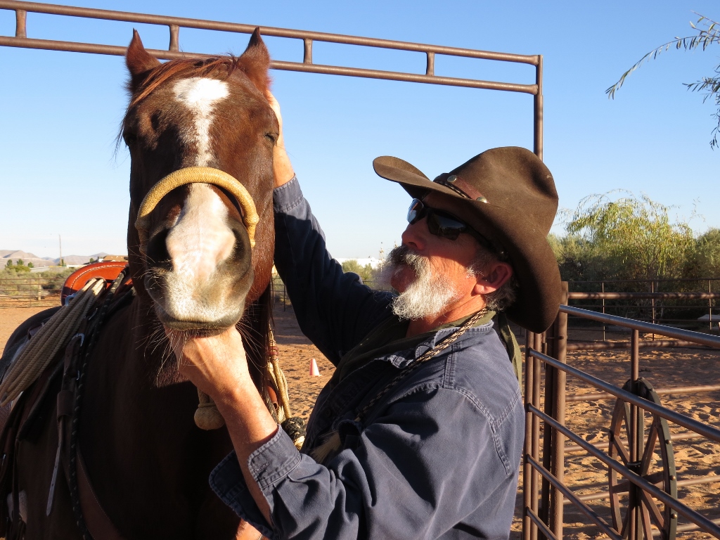 Functional Horsemanship: Fit and Placement of the Bosal
