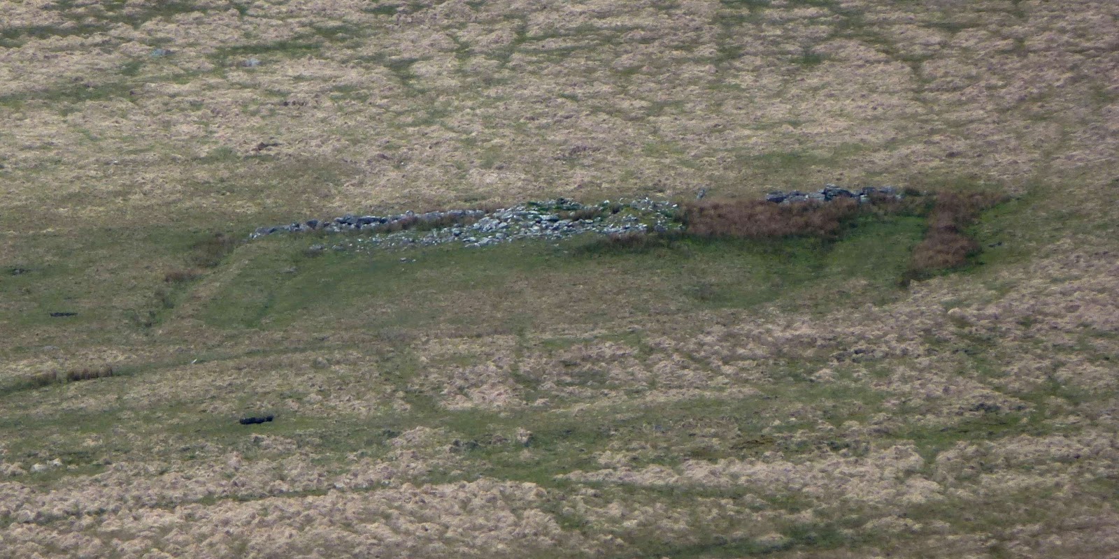 My Dartmoor Walks: Sunday 20th May Crow Tor