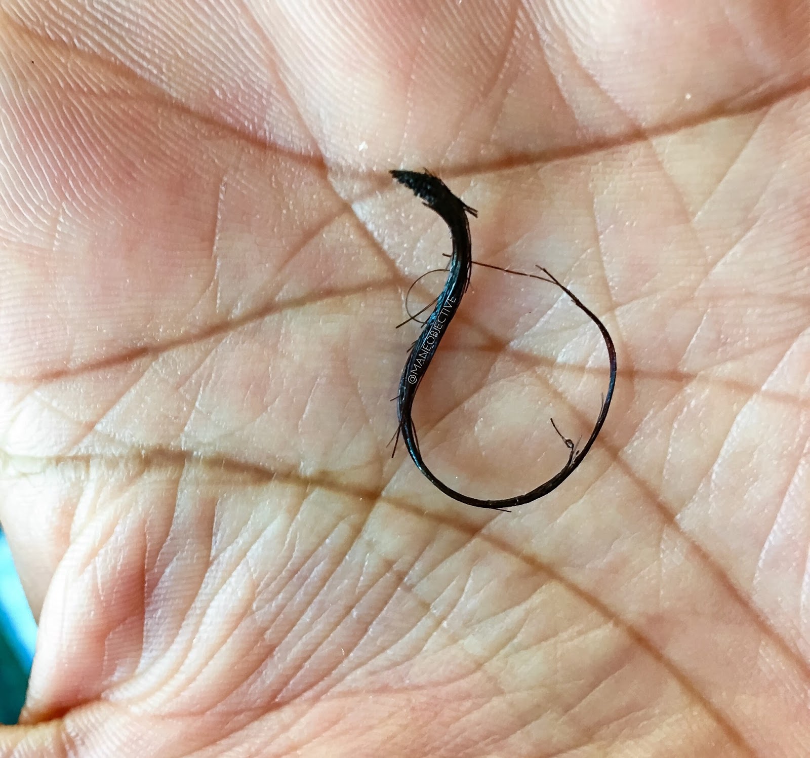 5 Hacks to Break You Out of a Natural Hair Rut | The Mane Objective