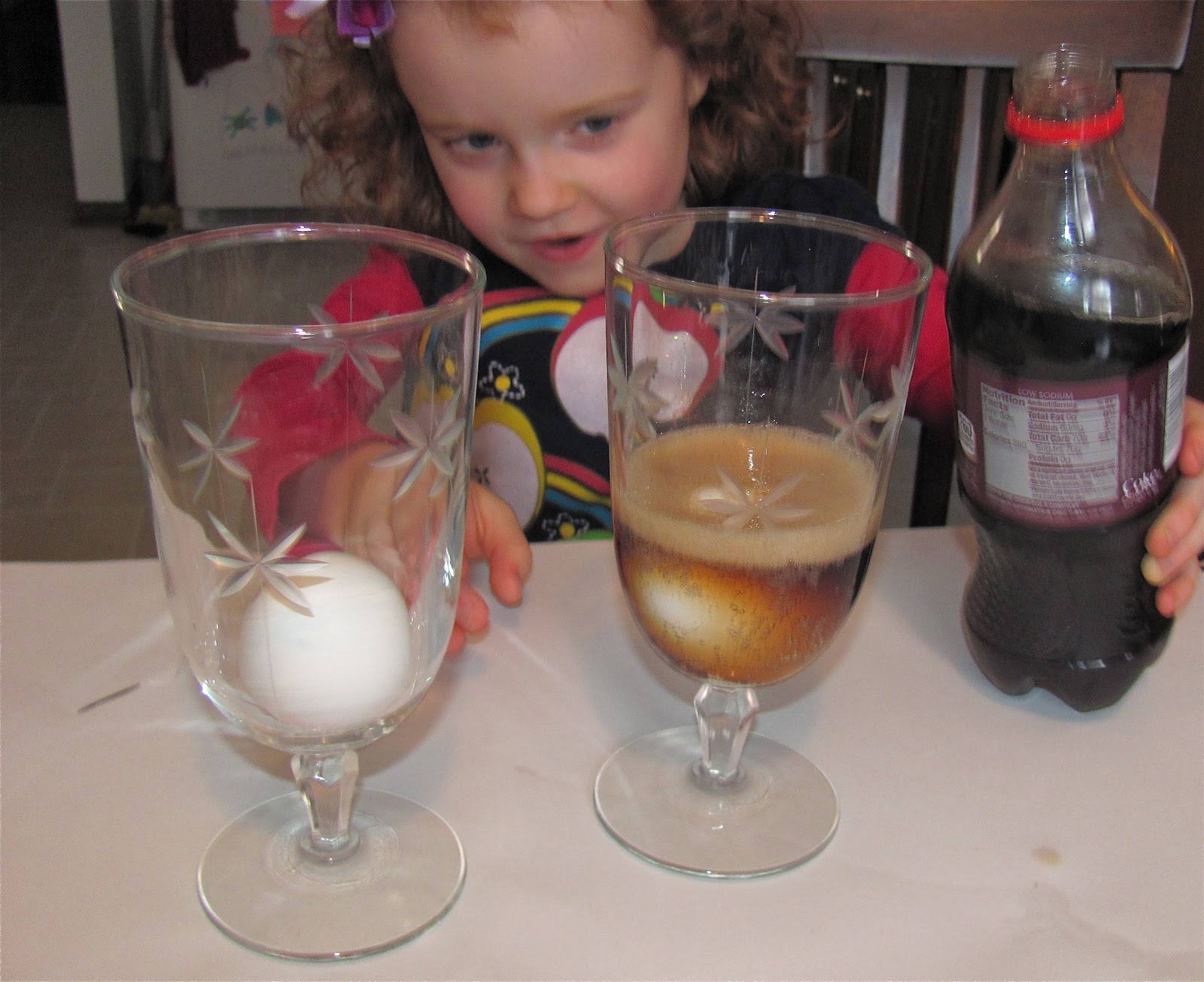 The Chocolate Muffin Tree: An Experiment With An Egg and Soda