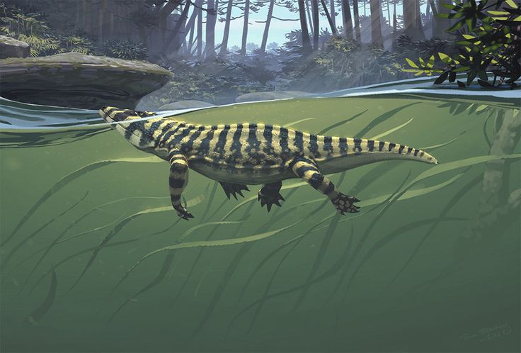 Blog de la Vida Prehistórica: Eryops