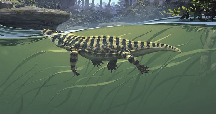 Blog de la Vida Prehistórica: Eryops