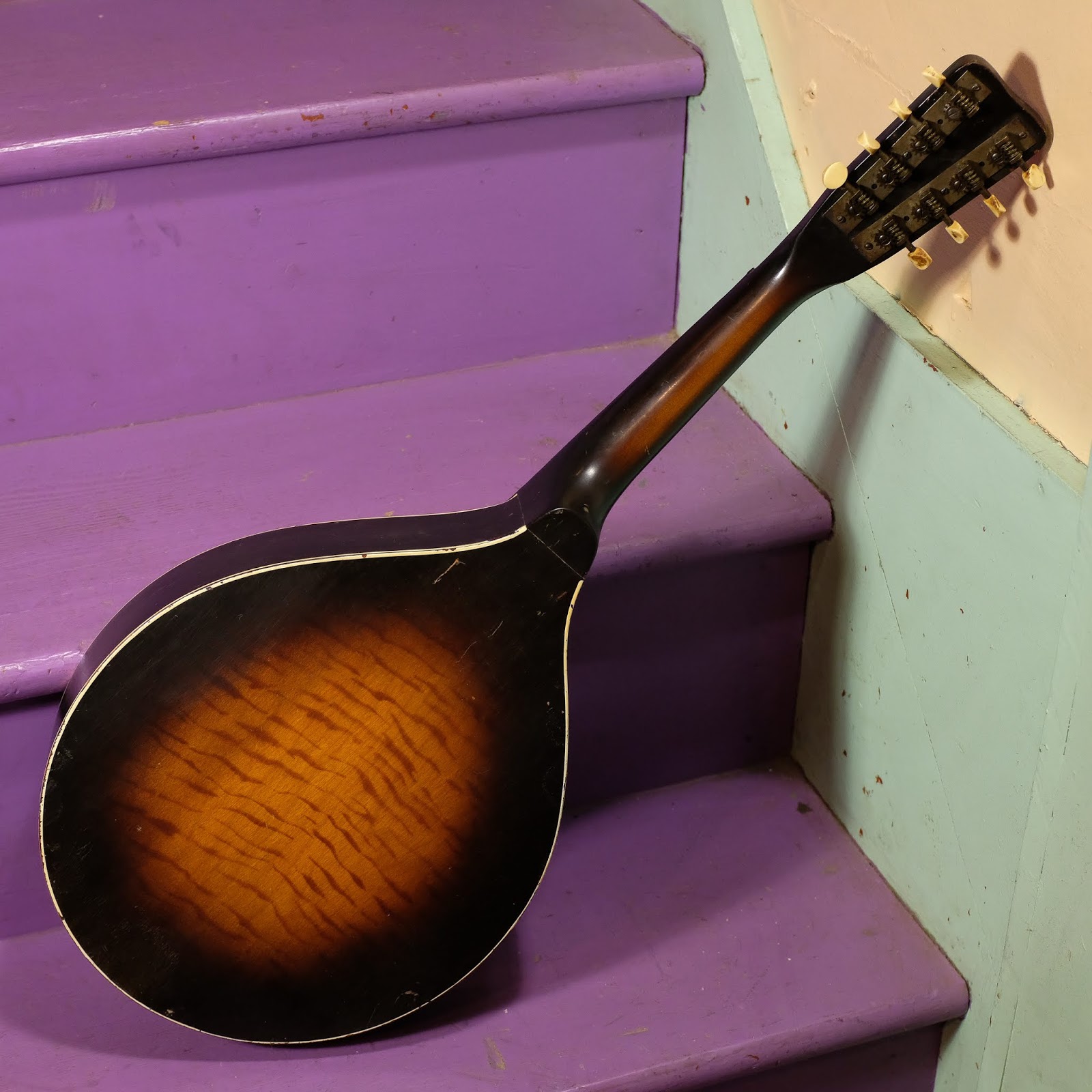 1930s Regal-made BlueBird Flatback Mandolin