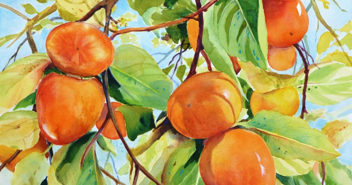 California Persimmons