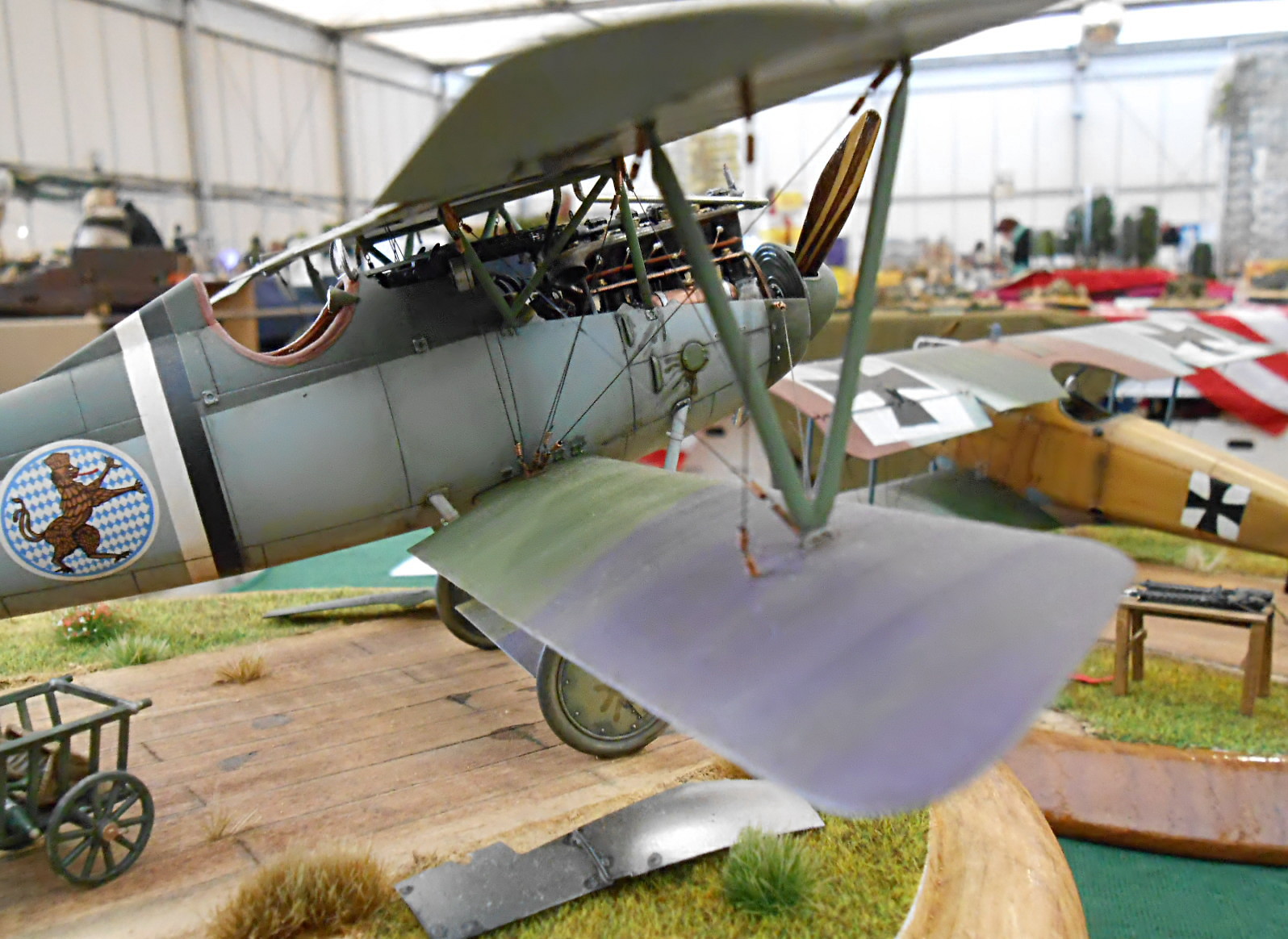 Albatros D.III - D.V et D.Va.