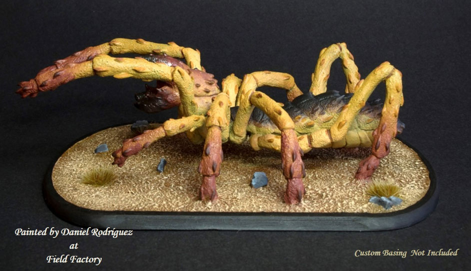 Mr. Bug Man: Camel Spider in full colour