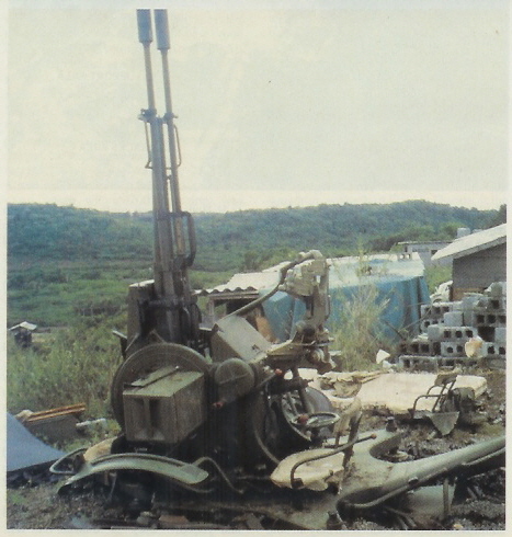 Magic Kingdom Dispatch: Ranger McGraw, the Bryan Staggs Flag, and ...