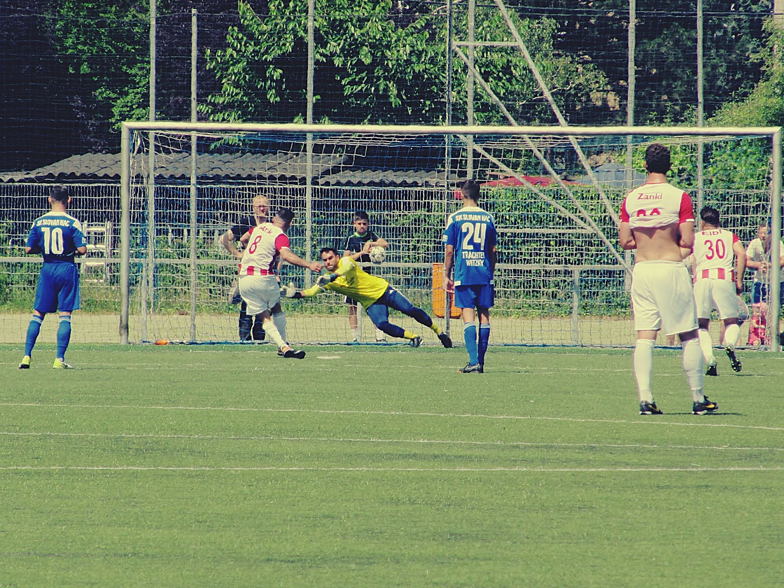 wochenendpöbler: SK Slovan HAC - SC Team Wiener Linien