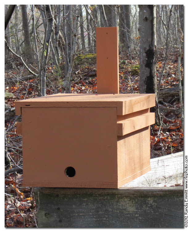 Randy & Meg's Garden Paradise: Swarm Traps and Nuk