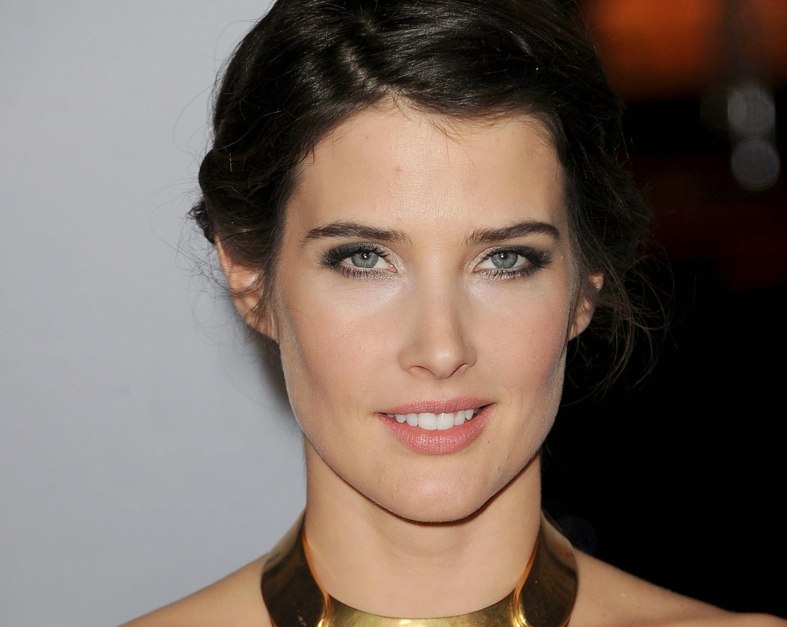 Super star life style photo gallary : Jacoba Francisca Maria Cobie Smulders