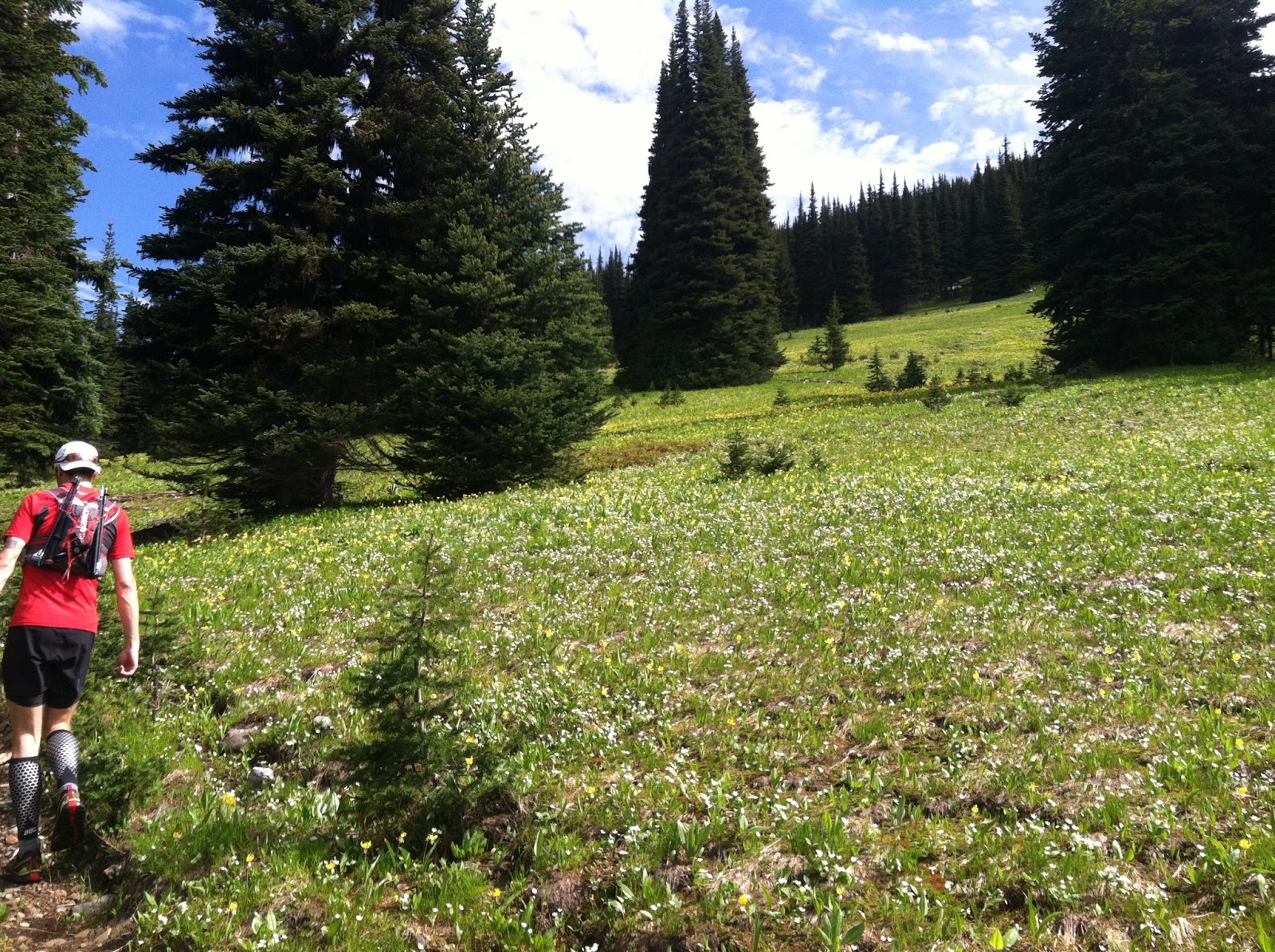 Roll with the Trails: Devil's Dome-Jackita Ridge Loop