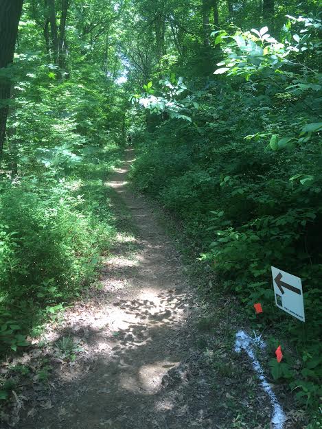 Thoughts From The Long Run: 2016 Mohican Trail 100 Race Report
