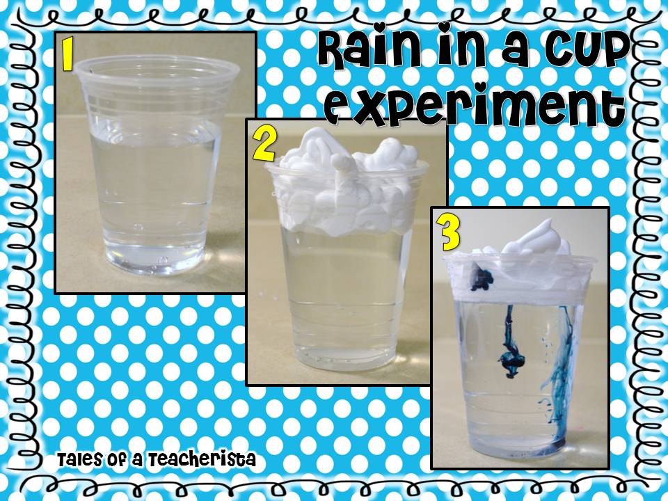 Tales of a Teacherista: Science Fair Fun