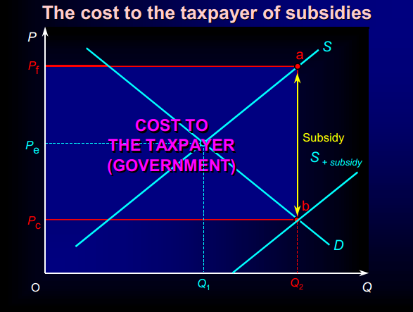 Economics A Levels: SUBSIDIES