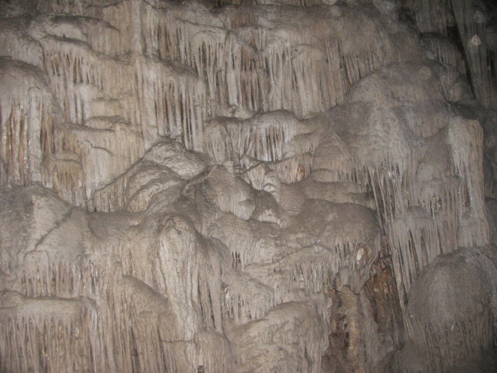 Backyard Excursions: Happy Jack Cave