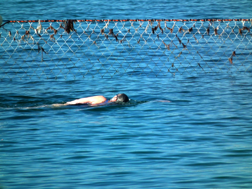 Days on the Claise: Swimming Without Sharks