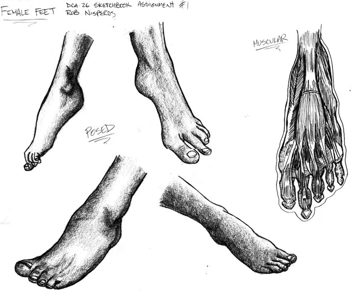 Rob C. Nisperos: Art & Animation has MOVED.: Life Drawing - Hand & Feet ...