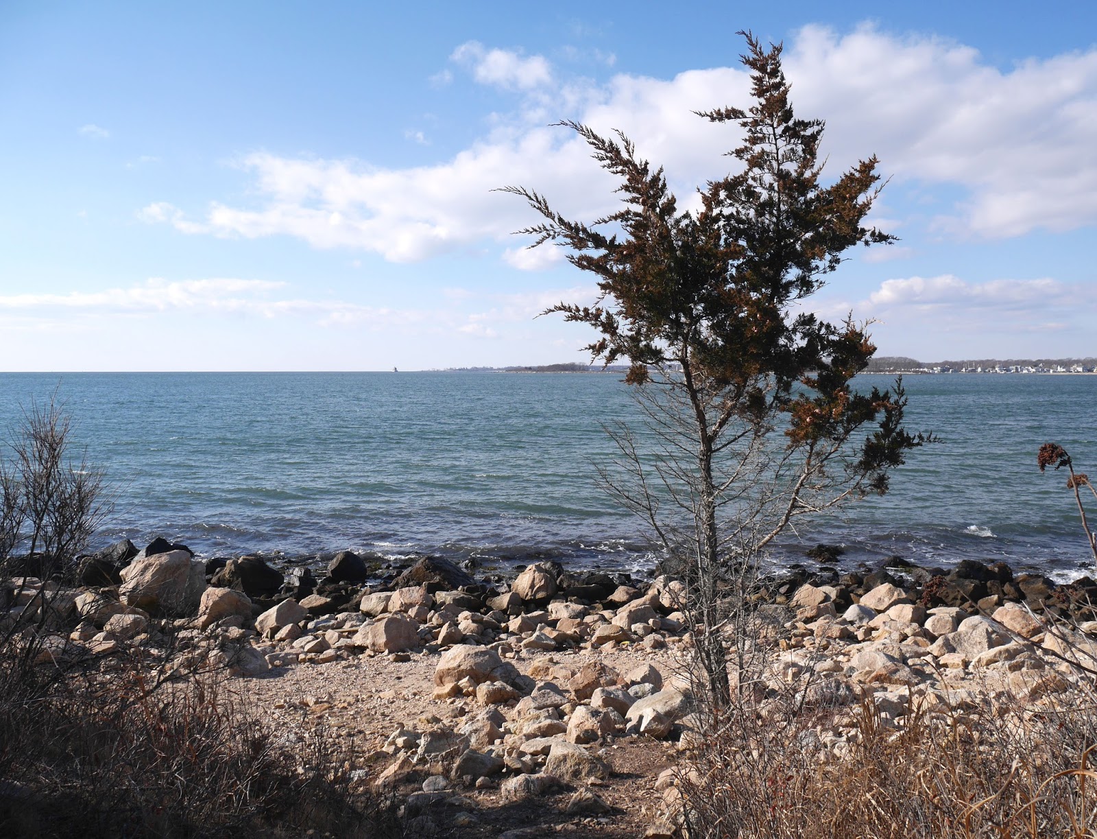 The Size of Connecticut Archived Posts (2009 - 2017): Bluff Point State ...