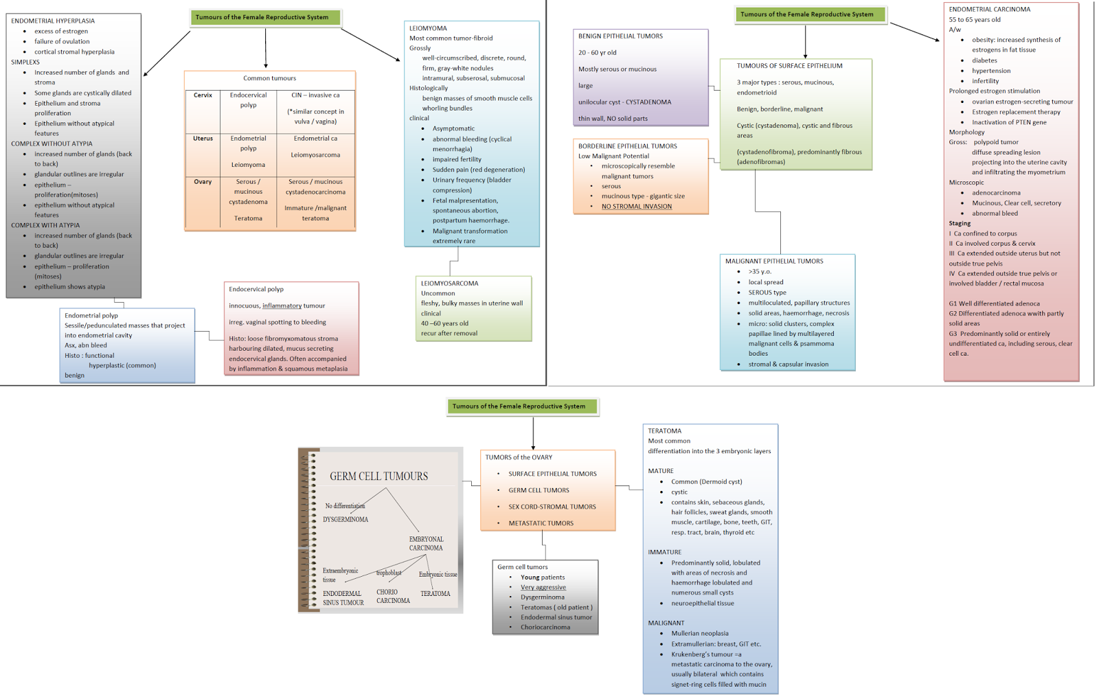 Medical Concept maps : Reproductive System