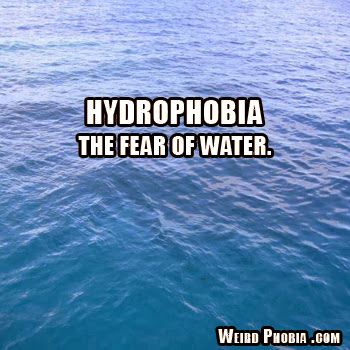 Collections: November 2013