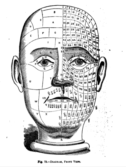 Beauty, and What It Means: Breaking Down Beauty: Physiognomy Revisited