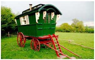 C'est si Bon! La Joie de Vivre: If I were a gypsy...