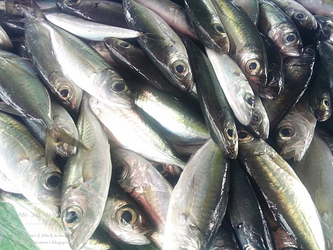 Memburu Ikan Laut di Darat - Amie's Little Kitchen