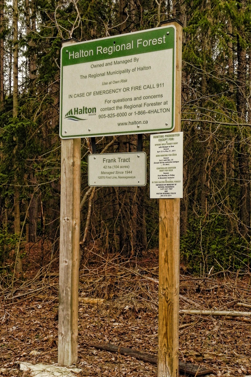 Hiking in Ontario: Frank Tract - Halton Regional Forest