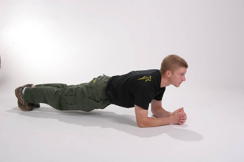 Best Fitness Dolphin | Build a powerful body and get in the greatest ...