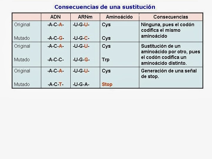 Biología 2 "Reconoces y aplicas los principios de la herencia".