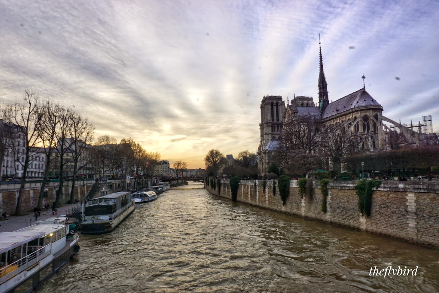 One Full Day in the City of Light, Paris