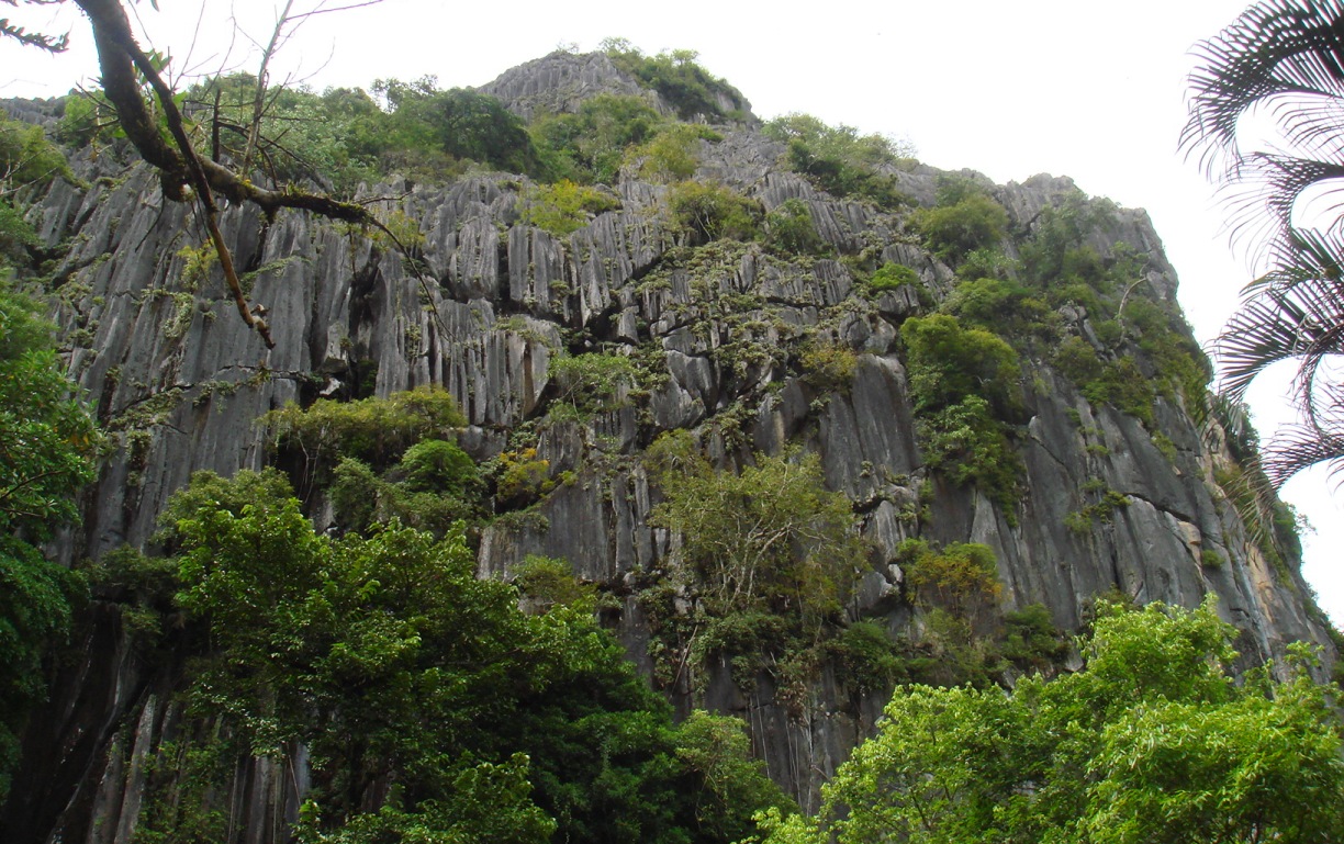 KB BACKPACKER'S Inn: RENG MOUNTAIN (GUNUNG RENG)