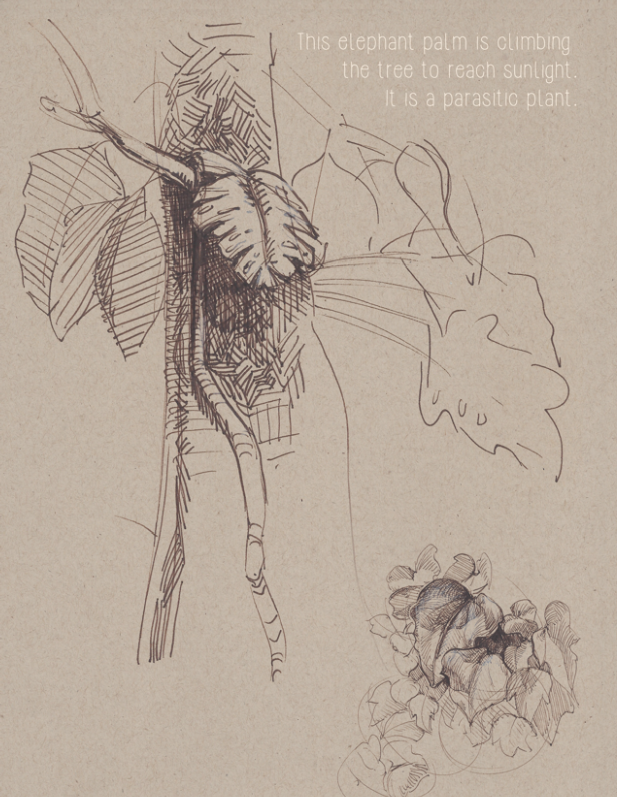 Warrior Spirit, Artist Heart: Dynamic Sketching with Peter Han