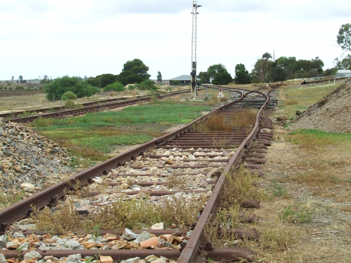 Meander to the Max: Milang and Lake Alexandrina -- wetlands, sailboats ...