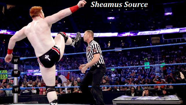 World Wrestling Entertainment: Sheamus brogue kick