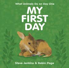 The Write Question: Children's Book Review: 'My First Day: What Animals ...