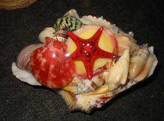 Tropical Treasures by Hershell Seacrafts Exports