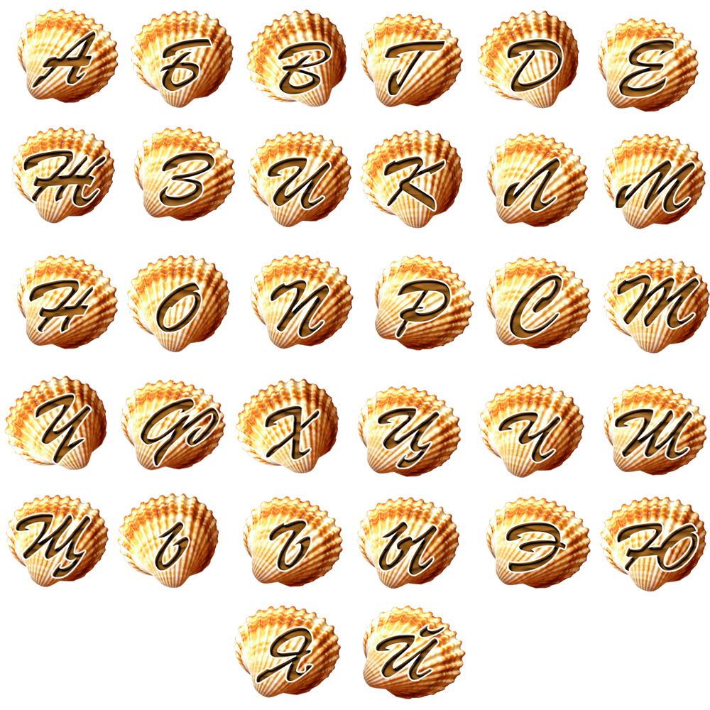 ForgetMeNot: Seashells Alphabet